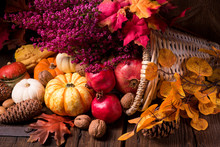 Cornucopia Free Stock Photo - Public Domain Pictures