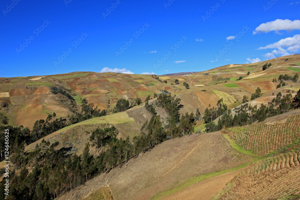 Andes mountains in the peruvian highlands displaying agriculture fields ...
