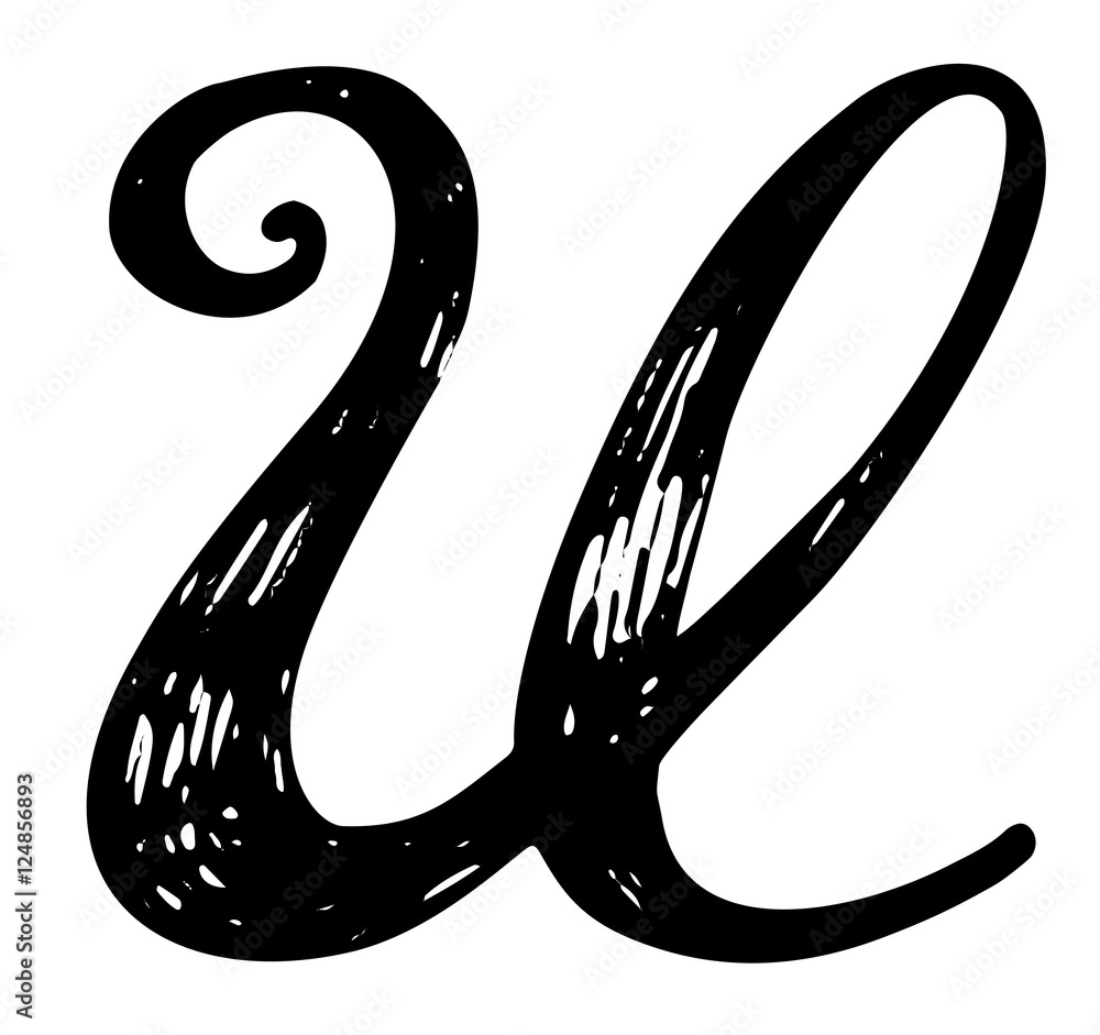 Letter U. Calligraphy alphabet typeset lettering. Hand drawn alphabet ...