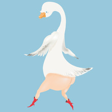 Dancing Goose 5 Free Stock Photo - Public Domain Pictures