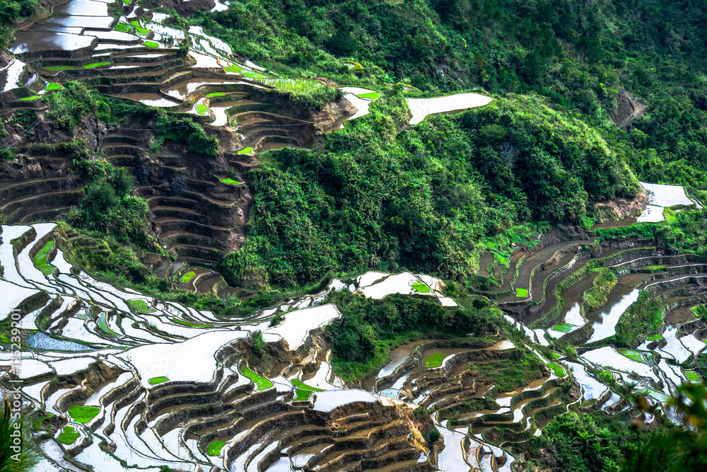 Amazing abstract texture of rice terraces fields with sky colorful ...