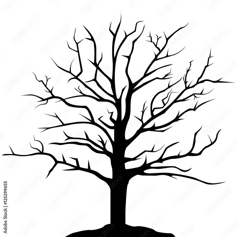 Simple drawing tree silhouette, isolated illustration on white ...