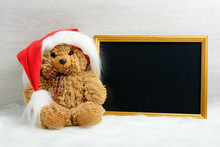 Christmas Teddy Bear Framed White Free Stock Photo - Public Domain Pictures