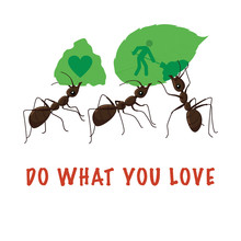 Ant Inspirational Poster Free Stock Photo - Public Domain Pictures