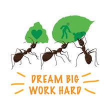 Ant Inspirational Poster Free Stock Photo - Public Domain Pictures