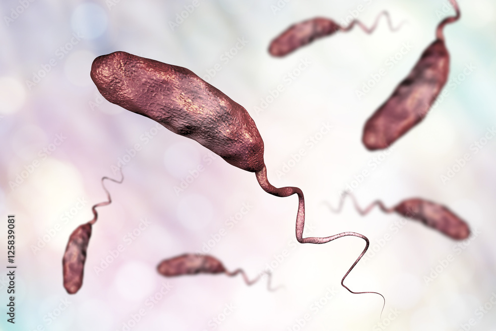 Vibrio cholerae bacterium, 3D illustration. Bacterium which causes ...