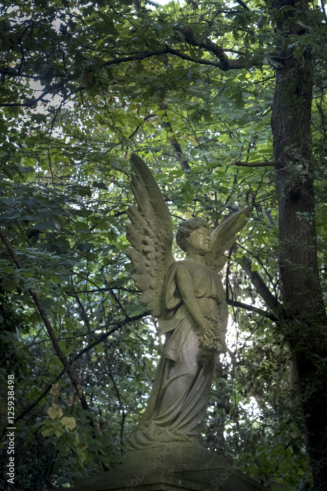 Foto de Stock Boy Angel in the Forest | Adobe Stock