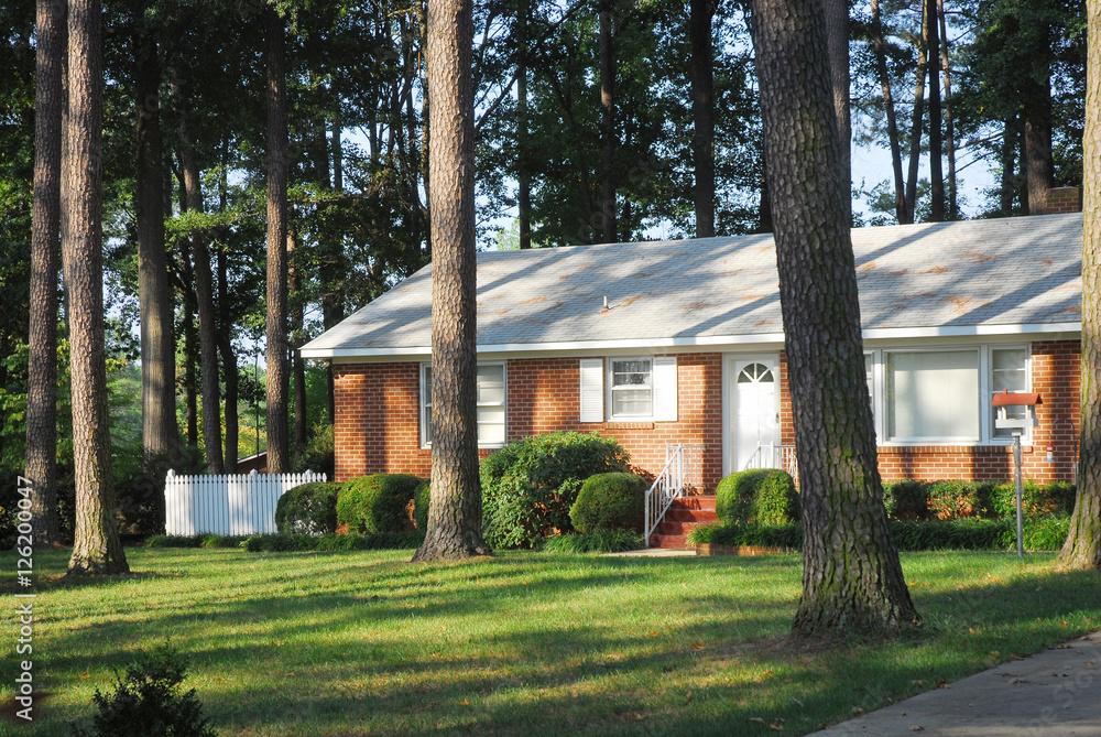 home house surrounded by pine trees Stock Photo | Adobe Stock