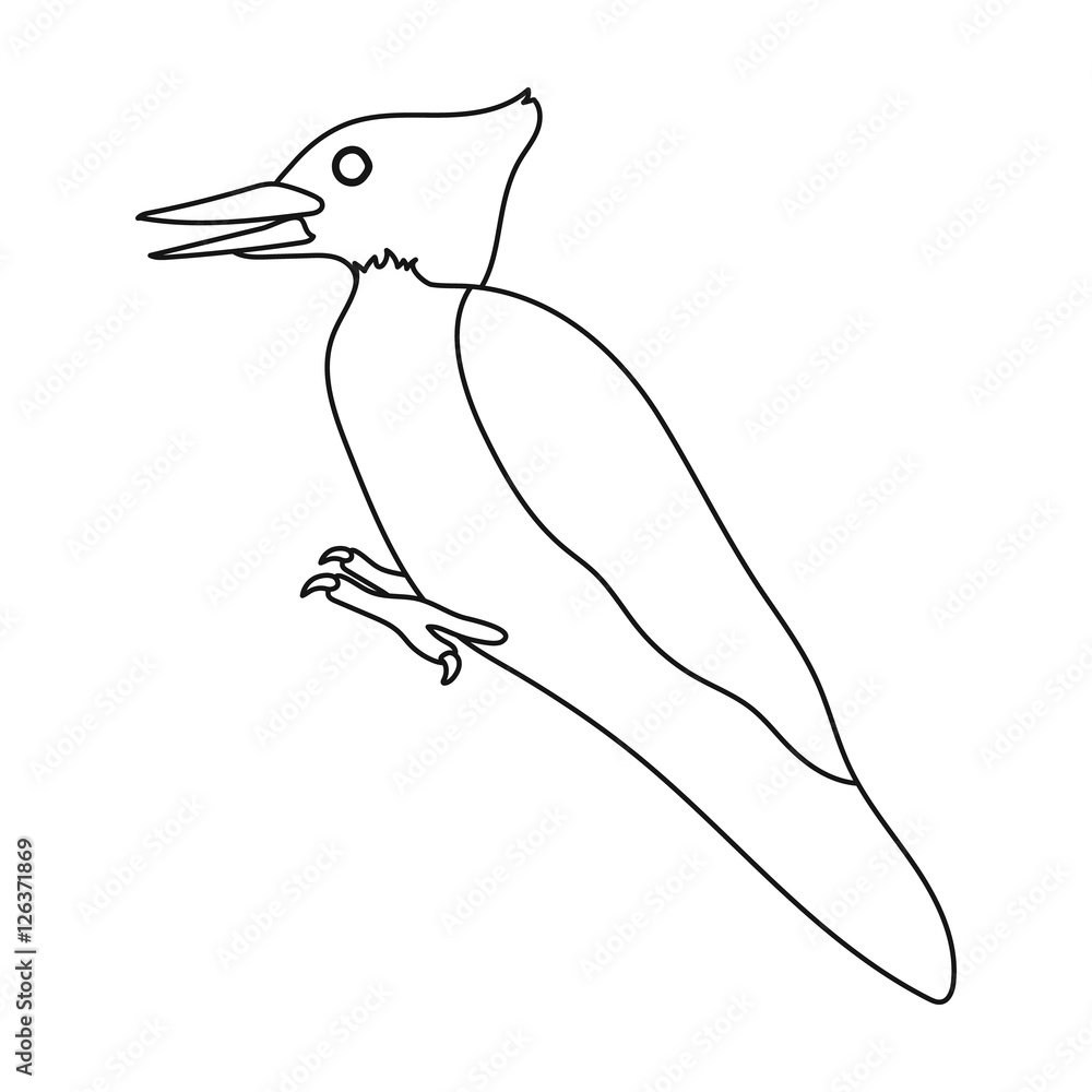 Woodpecker icon in outline style isolated on white background. Bird ...