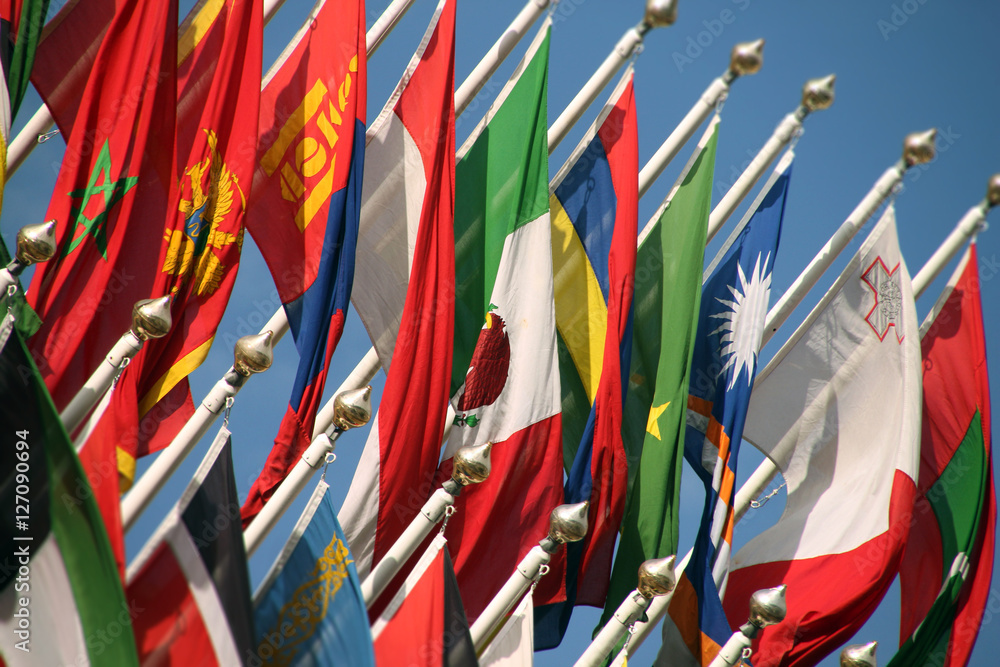 Flags of the world in an official building Stock Photo | Adobe Stock