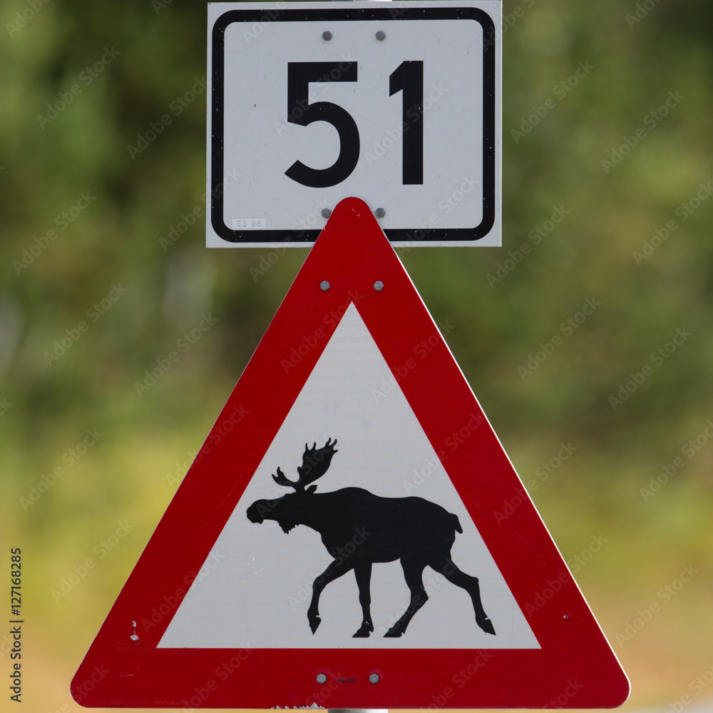 Traffic sign with elk Stock Photo | Adobe Stock