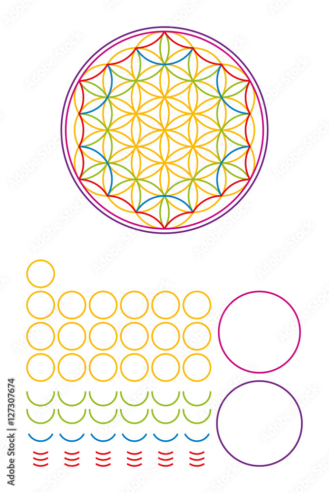Flower of Life components and building set. Ancient symbol composed of ...