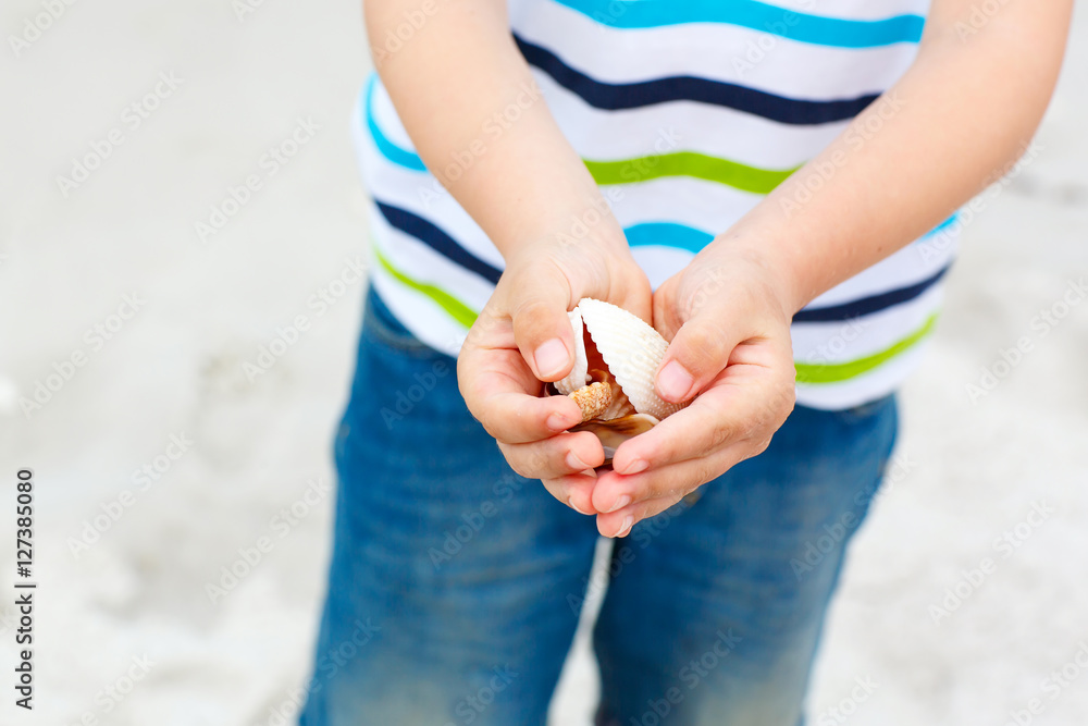 Little kid boy having fun with collecting shells Stock Photo | Adobe Stock