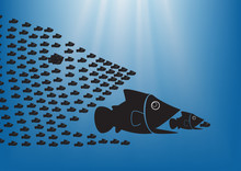 Big Fish Little Fish Metaphor Free Stock Photo - Public Domain Pictures