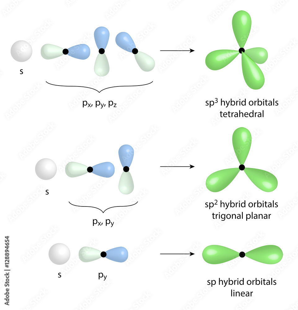 Ilustración de Stock sp3 sp2 sp hybrid orbitals | Adobe Stock