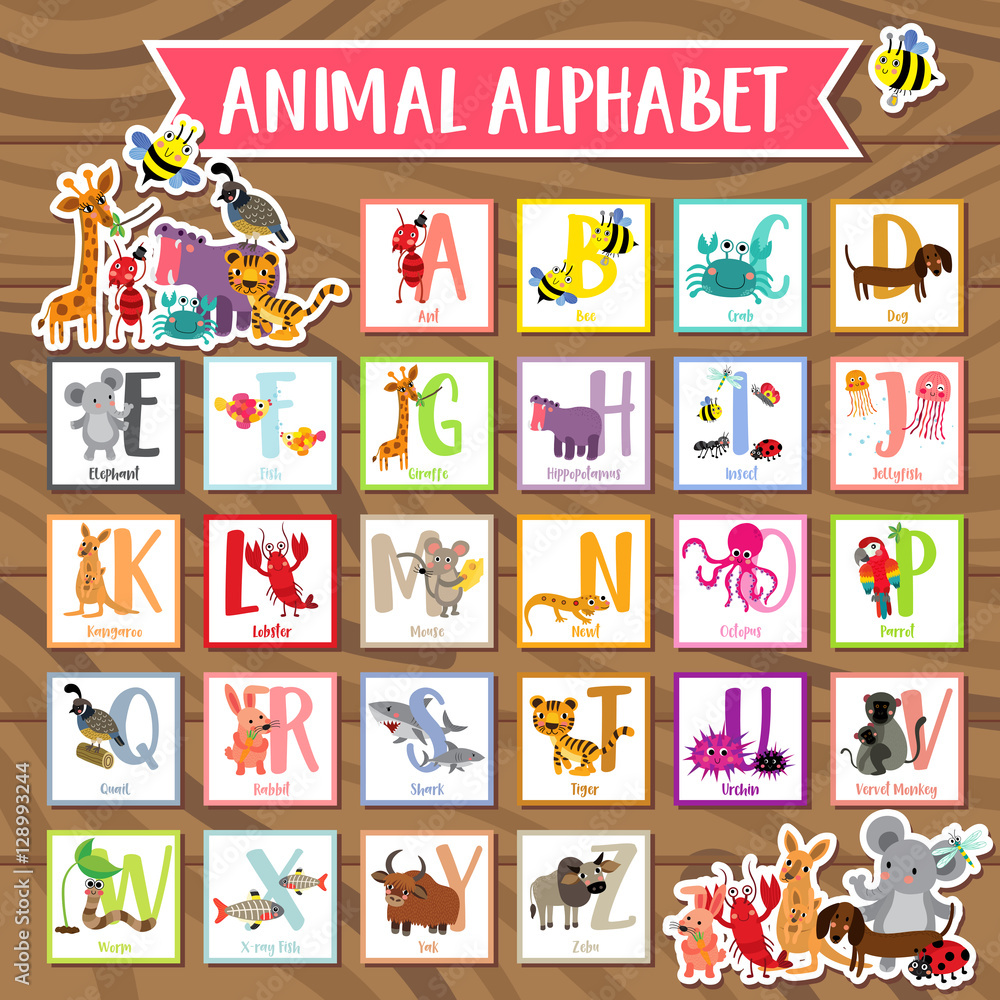 Cute colorful children zoo alphabet flash cards on wood background ...