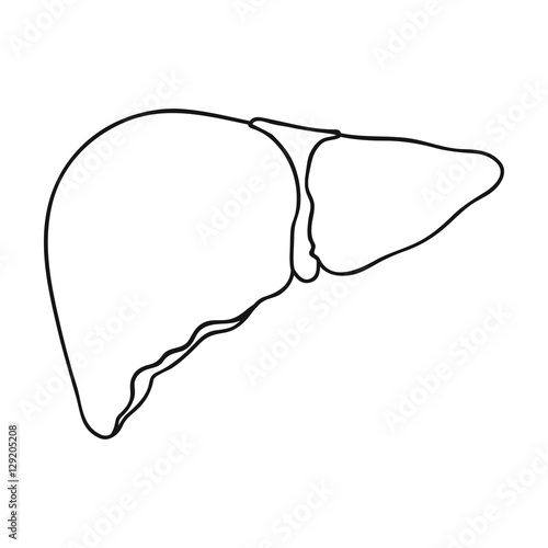 Human liver icon in outline style isolated on white background. Human ...