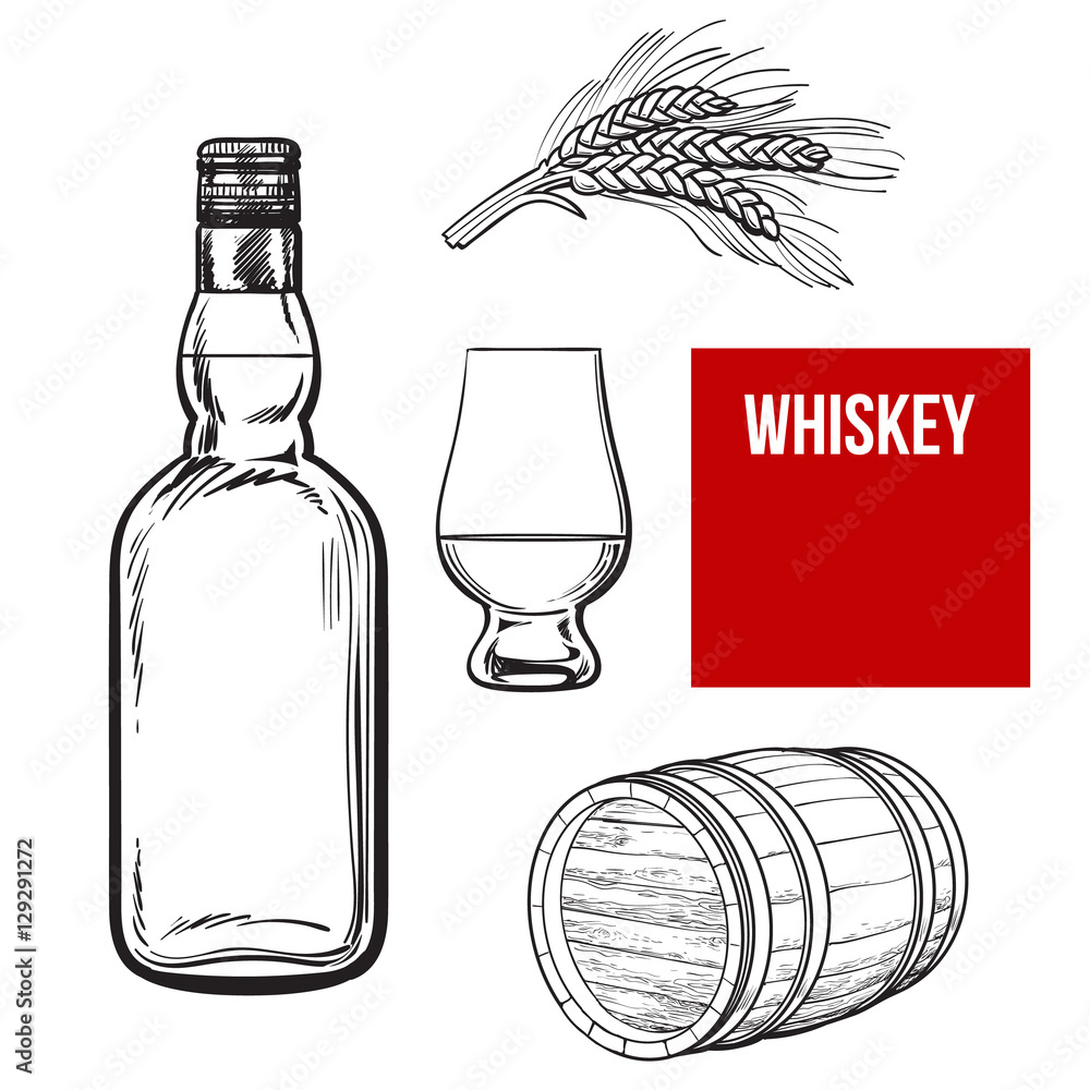 Set of hand drawn whiskey bottle, glass, barrel and malt, sketch vector ...