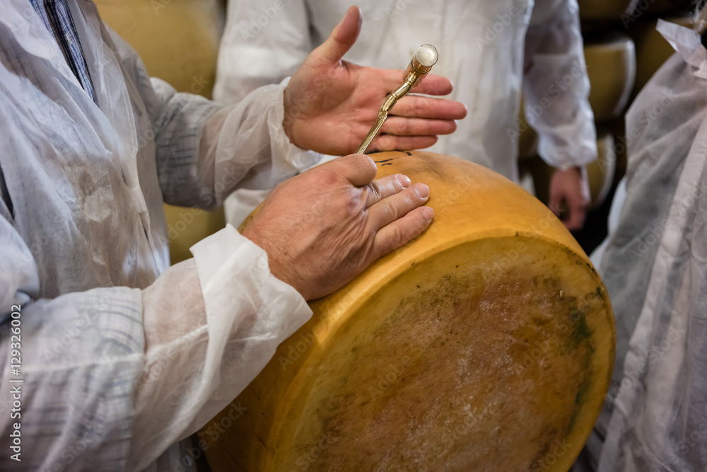Worker in Parmesan cheese factory giving tour to agro tourists visiting ...