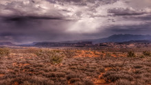 Desert Rain Free Stock Photo - Public Domain Pictures