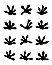 Gecko Silhouette Clipart Free Stock Photo - Public Domain Pictures