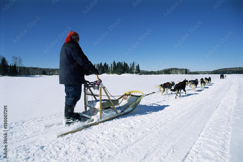 Dog team drawing sledge, Quebec, Canada Stock Photo | Adobe Stock