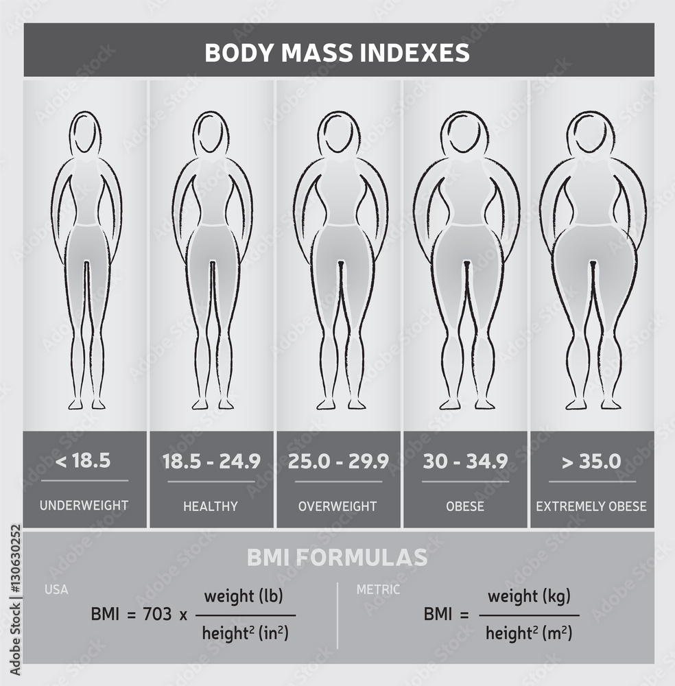 Diagramme Infographie Indice de Masse Corporelle IMC BMI en Anglais ...