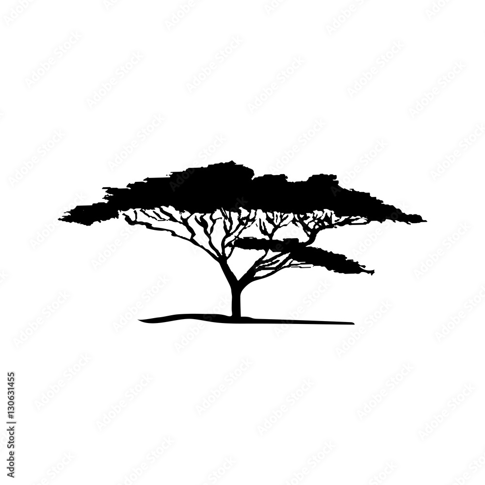 Vector silhouette of acacia tree. African flora Stock Vector | Adobe Stock