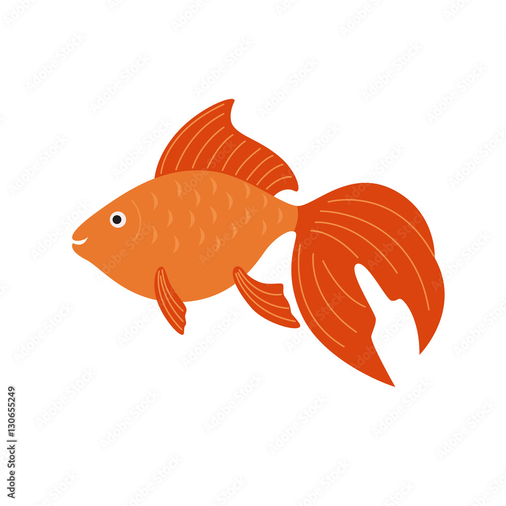 Goldfish. Vector aquarium fish illustration. Stock Vector | Adobe Stock