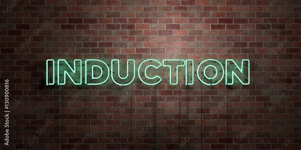 INDUCTION - fluorescent Neon tube Sign on brickwork - Front view - 3D ...