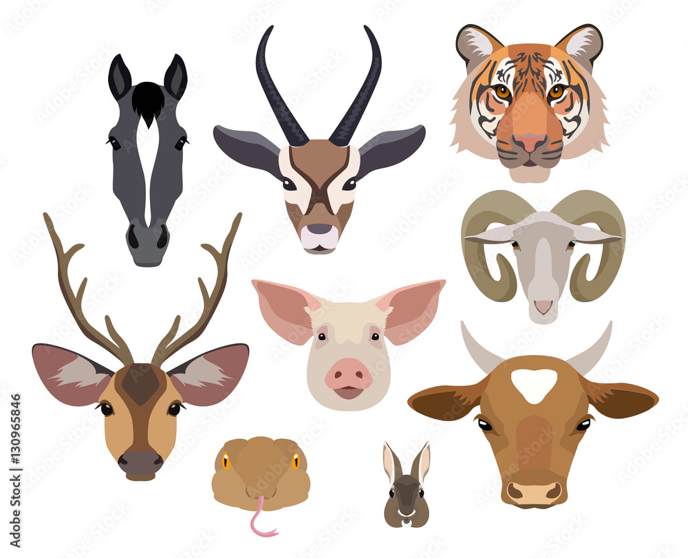 Vector animals heads collection. Flat, cartoon style design elements ...