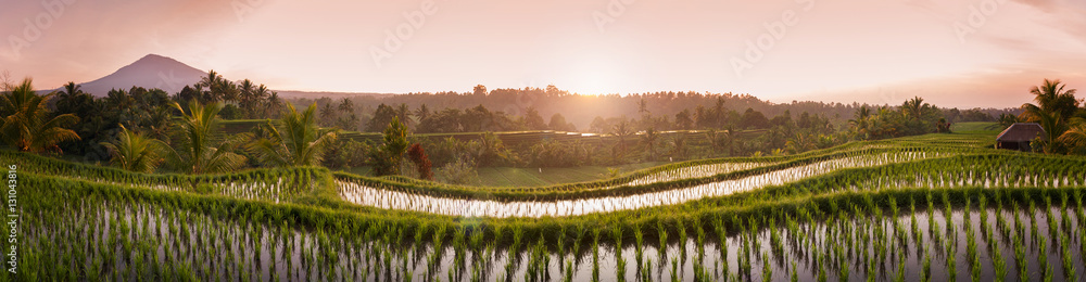Bali Rice Fields. The village of Belimbing, Bali, boasts some of the ...