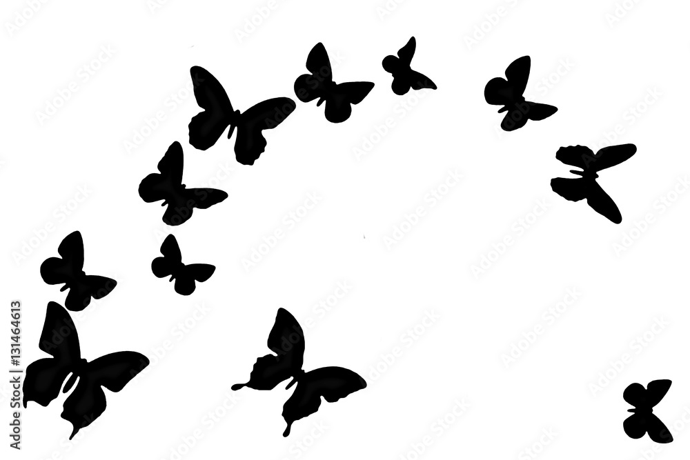 Black butterfly on white background. Texture winged insects isolated ...