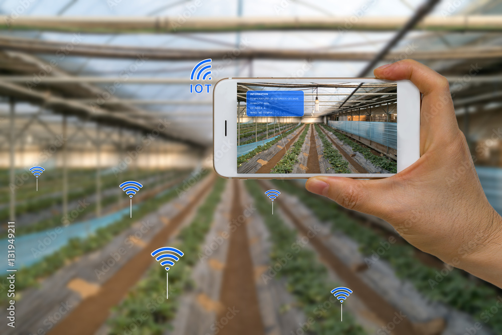 Smart Farming Agriculture Concept Using Internet of Things, IOT, and ...