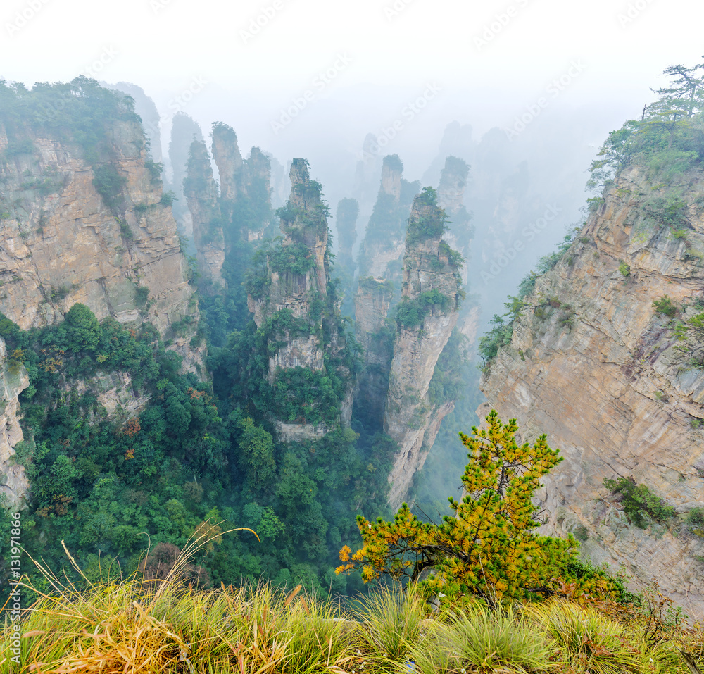 Group of rock columns mountain (Avatar rocks) in the haze. Zhangjiajie ...