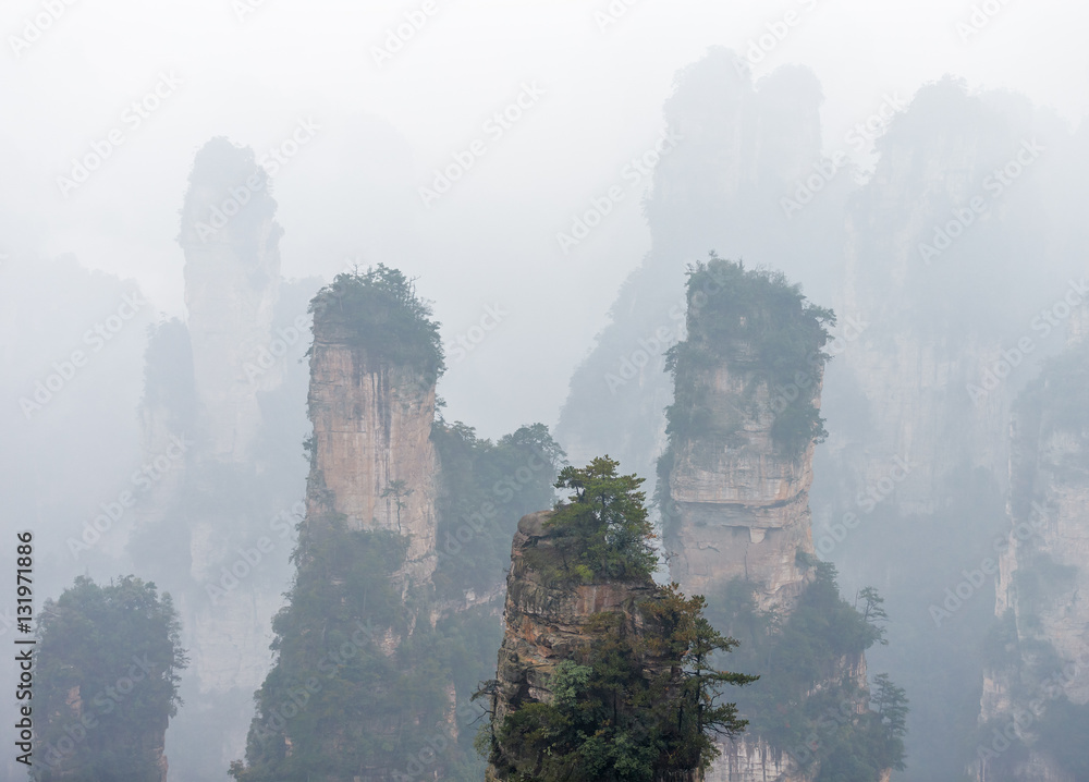 Group of rock columns mountain (Avatar rocks) in the mist. Zhangjiajie ...