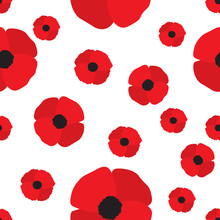Poppy Seamless Background Free Stock Photo - Public Domain Pictures