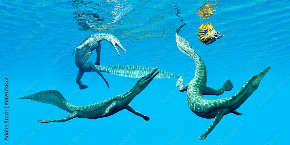 Mesosaurus Marine Reptiles - Mesosaurus reptiles go after an Ammonite ...