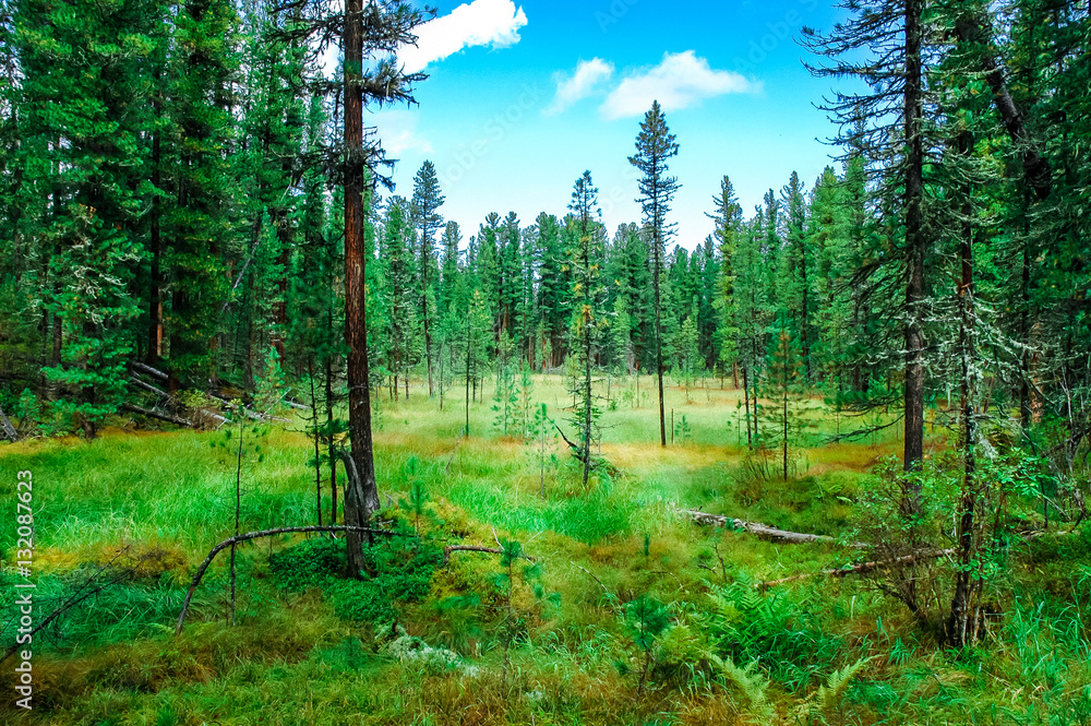 Stock-Foto „Russia. My travel and adventures across Siberia. Mountain ...