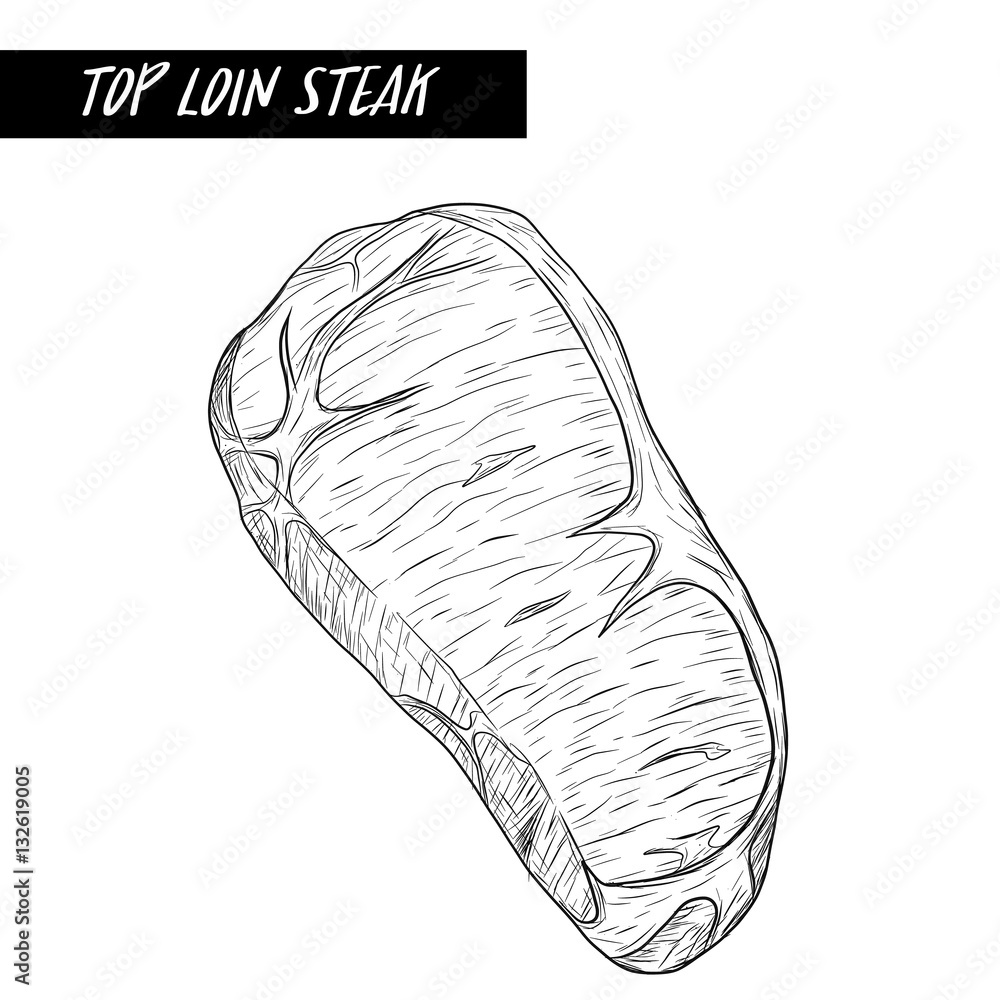 Top Loin Steak sketch by hand drawing.Top Loin Steak vector on white ...