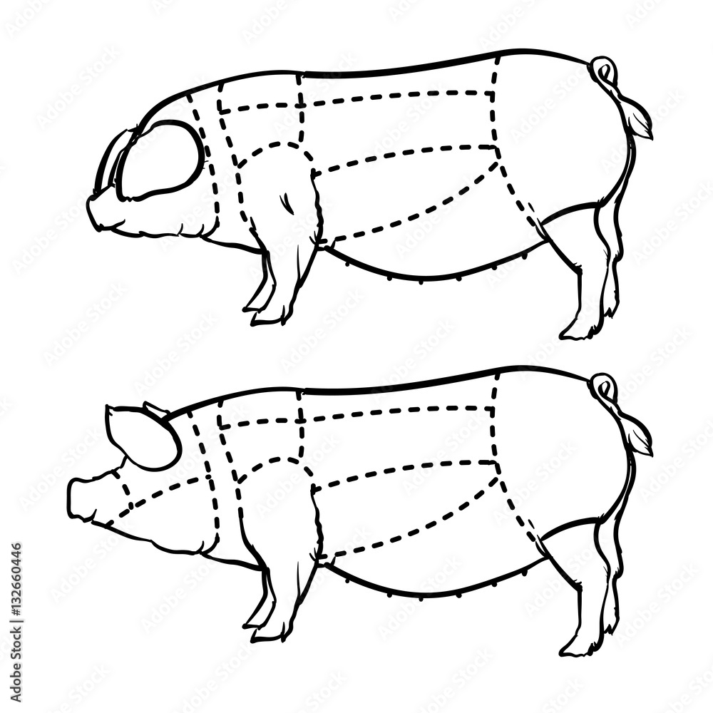 Hand drawn outline pig diagram, Butcher diagram drawing Vector ...