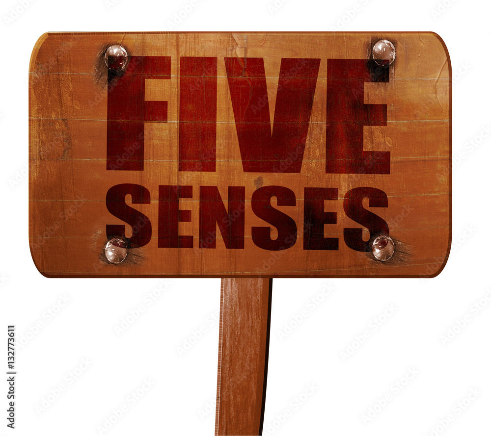 five senses, 3D rendering, text on wooden sign Stock Illustration ...