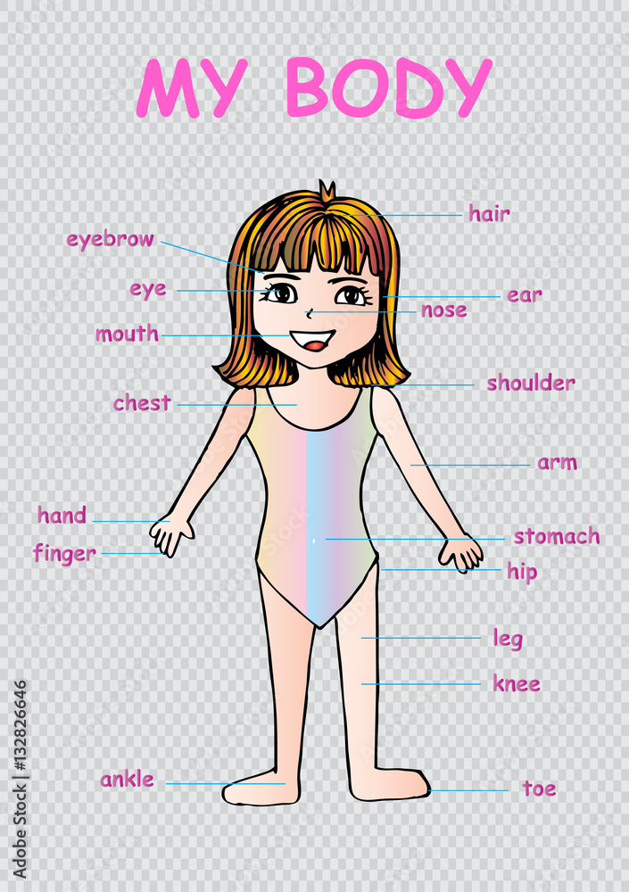 My body", educational info graphic chart for kids showing parts of ...