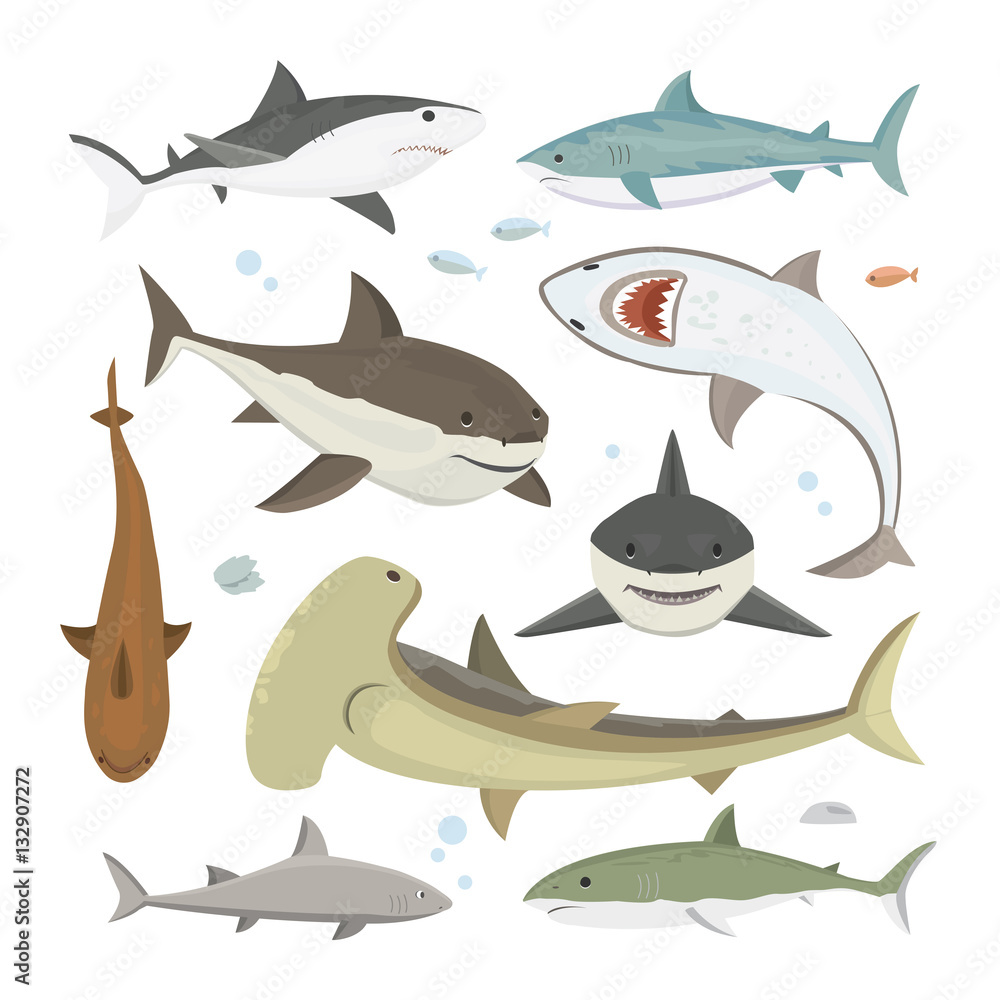 Vector shark different pose set. Stock Vector | Adobe Stock