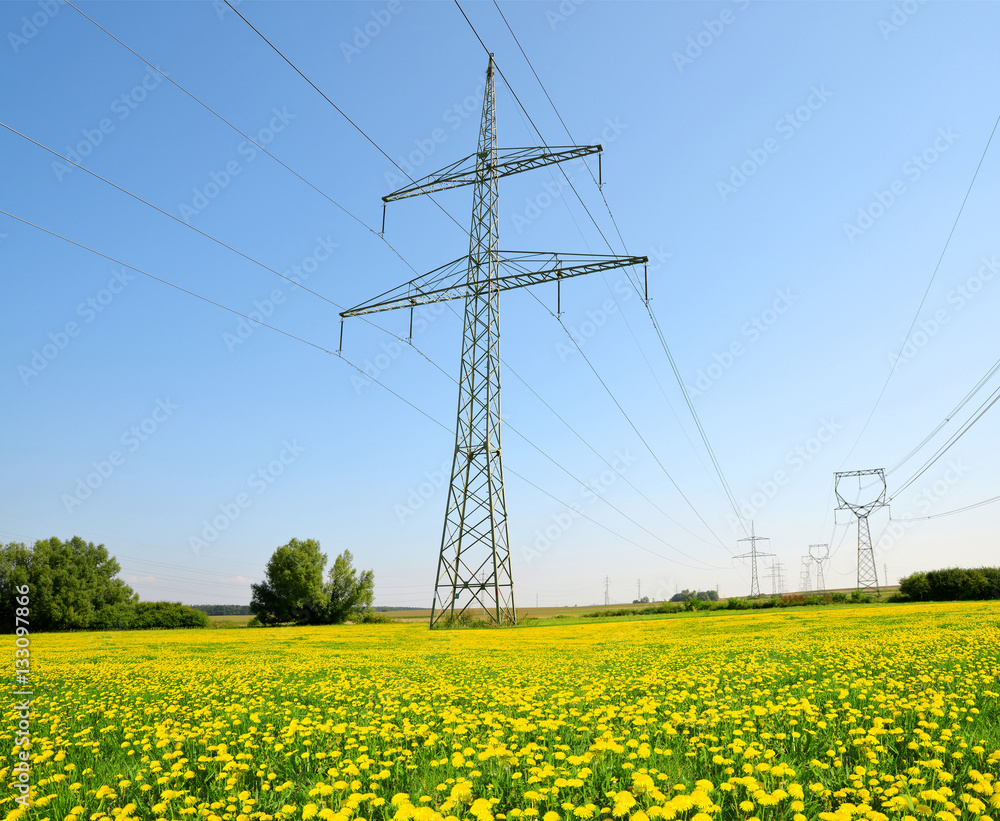 Foto de Stock High voltage electricity pylons on meadow with dandelions ...