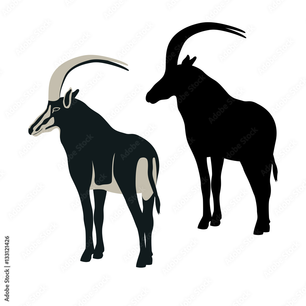 roan antelope vector illustration style Flat Stock Vector | Adobe Stock