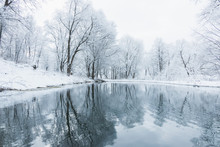 Snowy Pond In The Woods Free Stock Photo - Public Domain Pictures