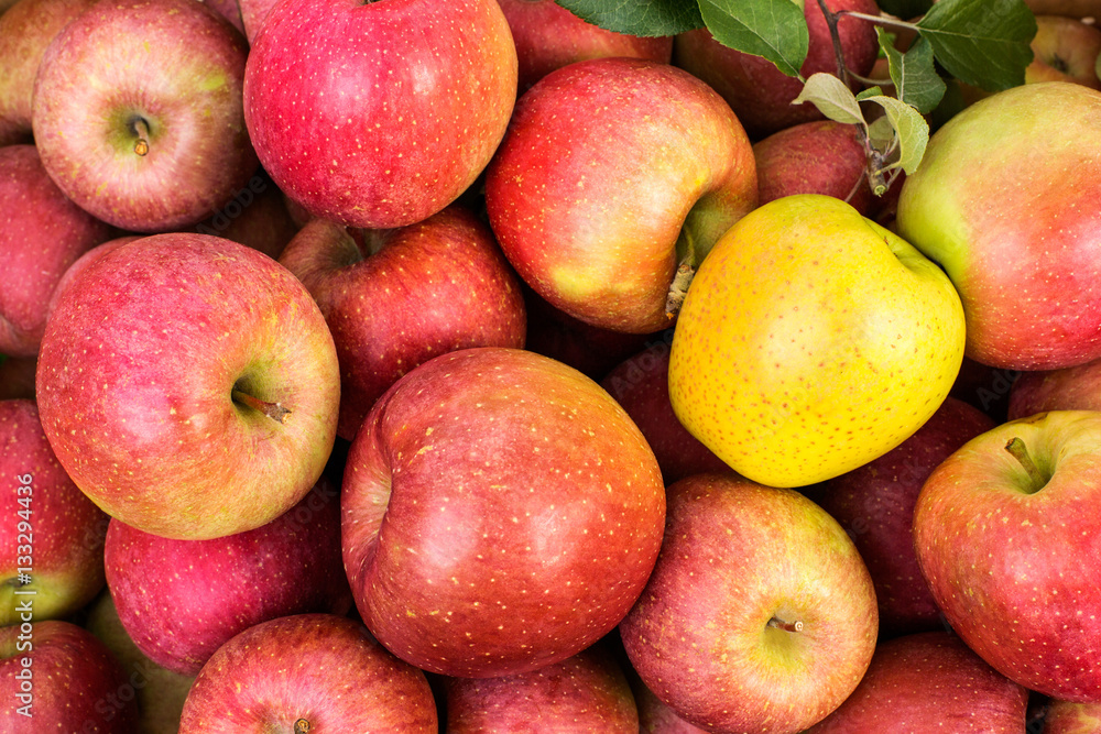 Apples, Japanese variety Fuji. Stock Photo | Adobe Stock