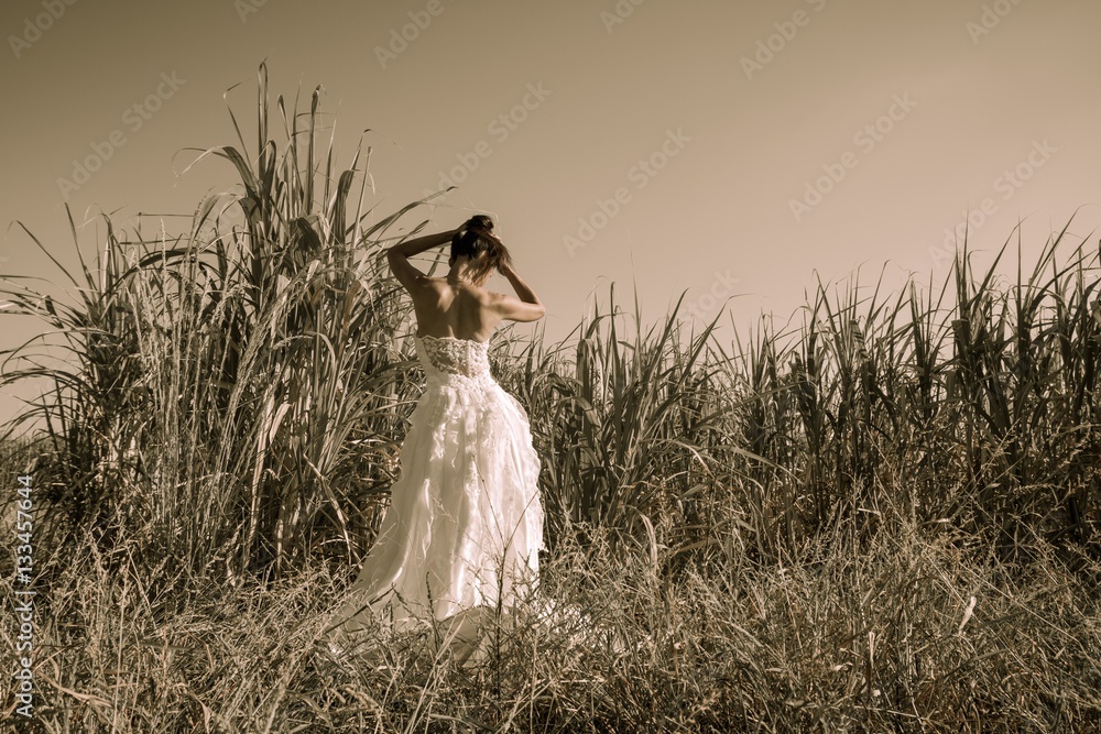 Beautiful Bride with white wedding dress in nature with sugar cane ...