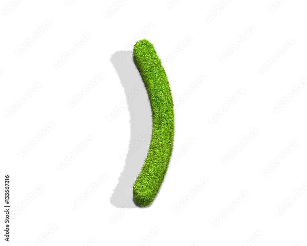 Grass bracket punctuation mark from top angle with shadow on ground ...